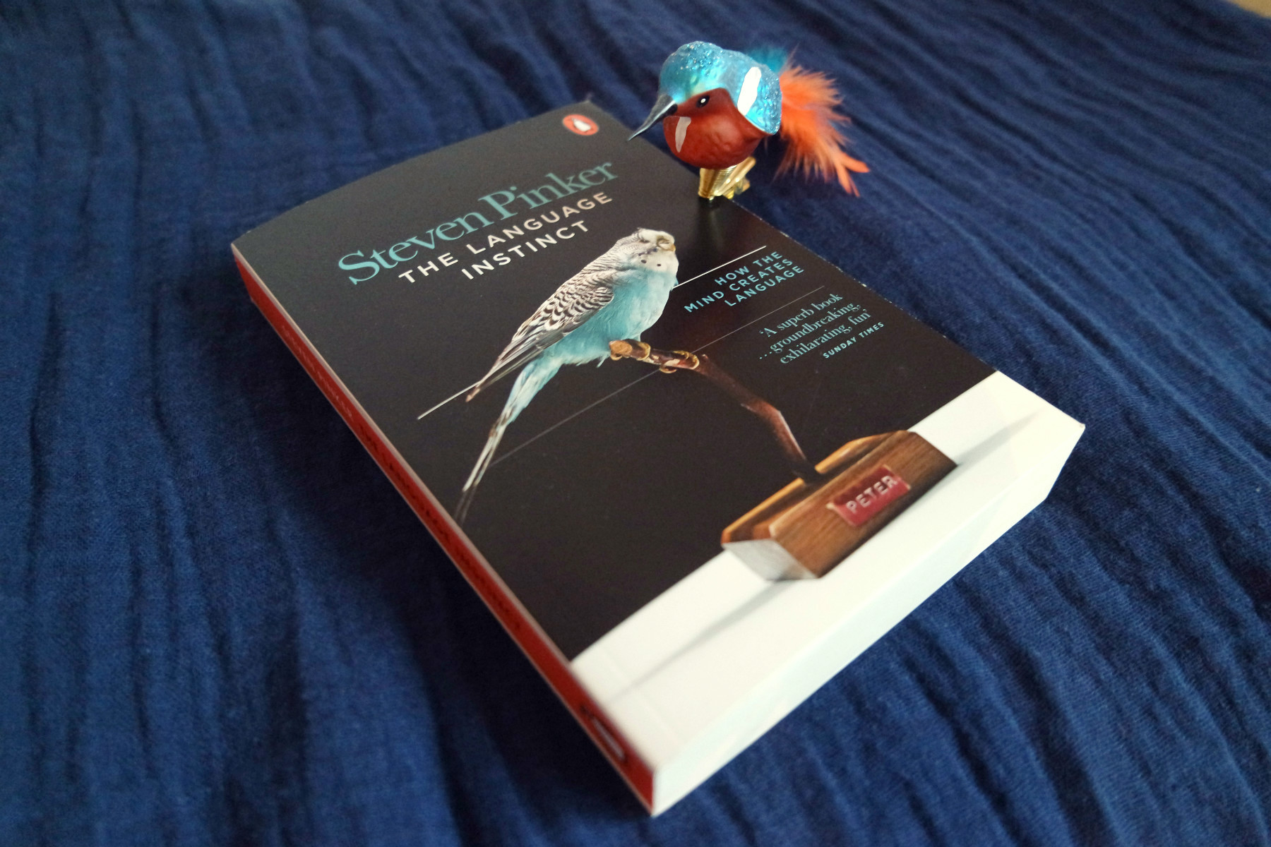 Steven Pinker: The Language Instinct – schiefgelesen