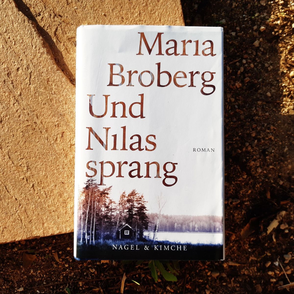Im Sog des Rückwassers – „Und Nilas sprang“ von Maria Broberg ...